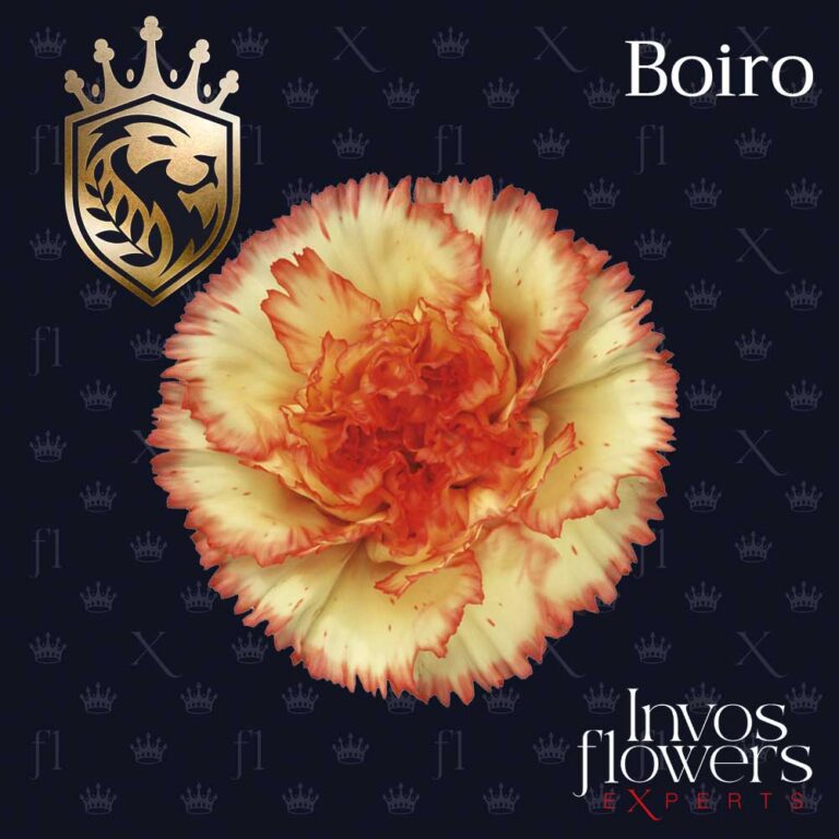 Catalogues | Invos Flowers Experts