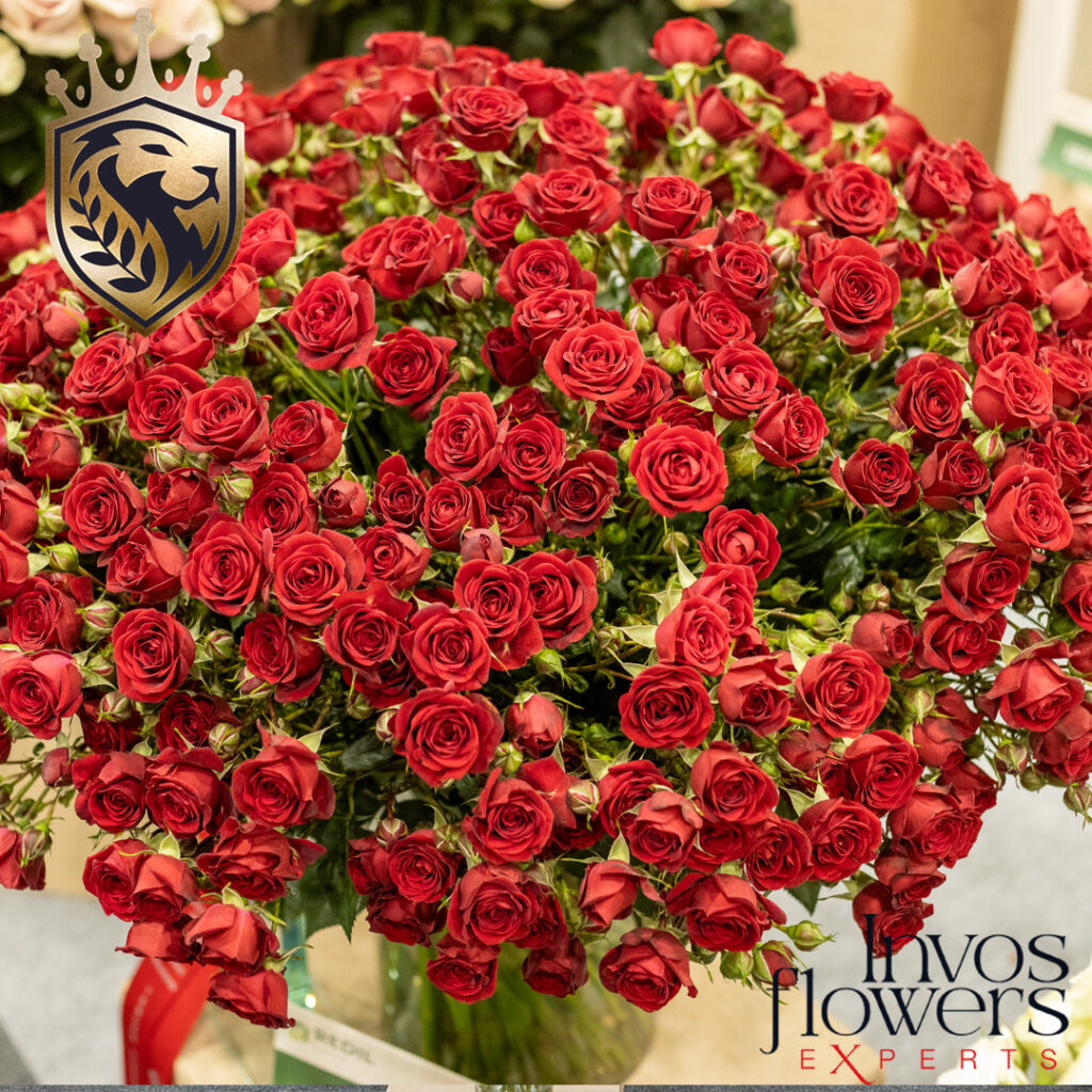 Exclusive flower distributors worldwide